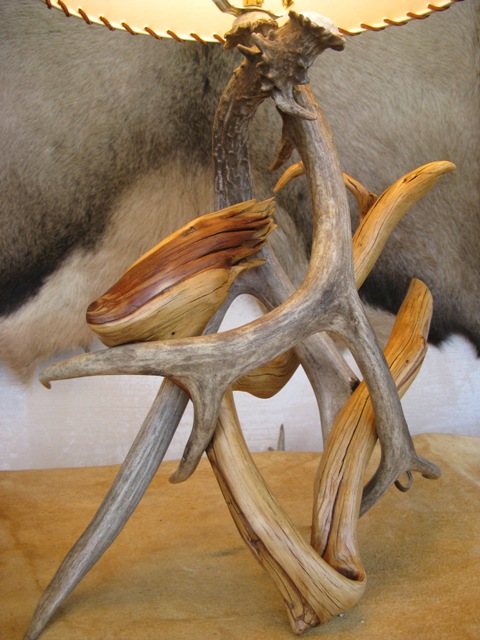 The antler collector | 6512 and growing