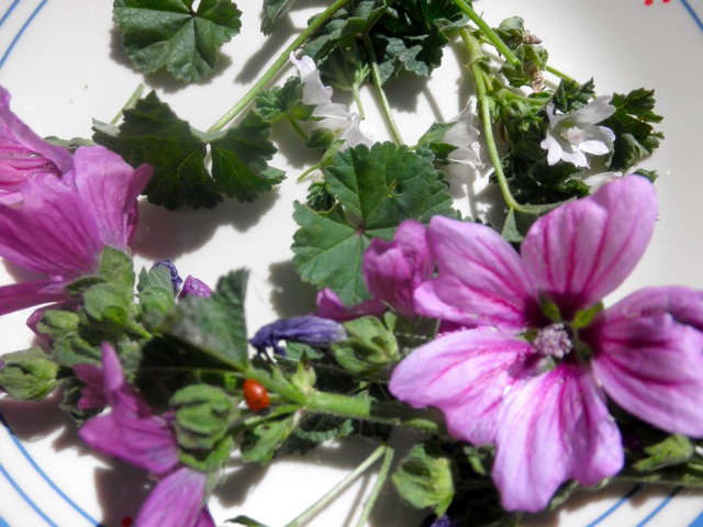 A free lunch, wild style | 6512 and growing